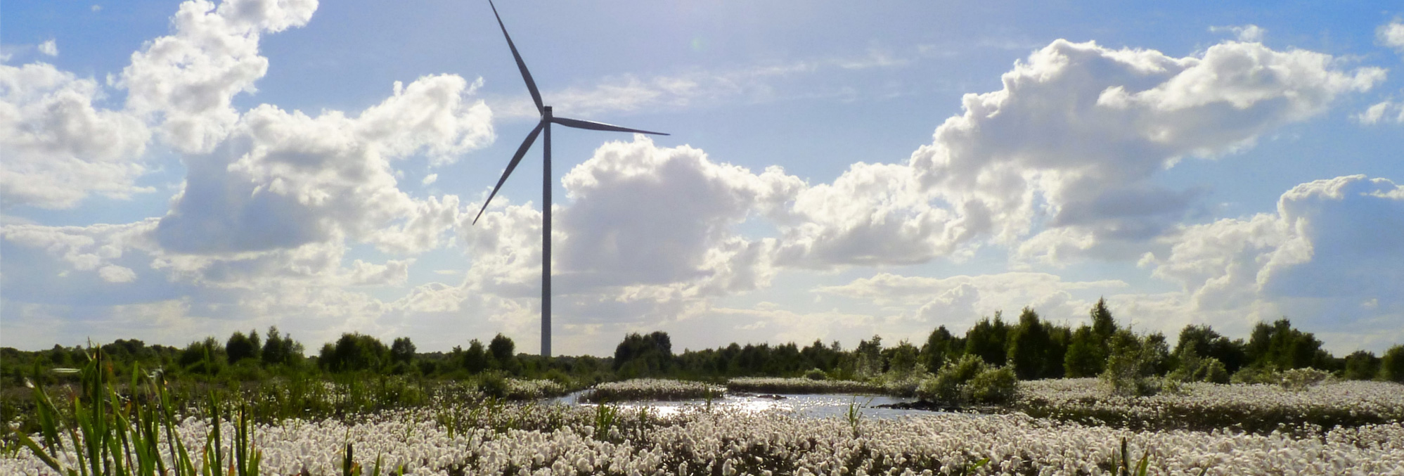 Bord na Móna Wind Farm | Derryadd Wind Farm