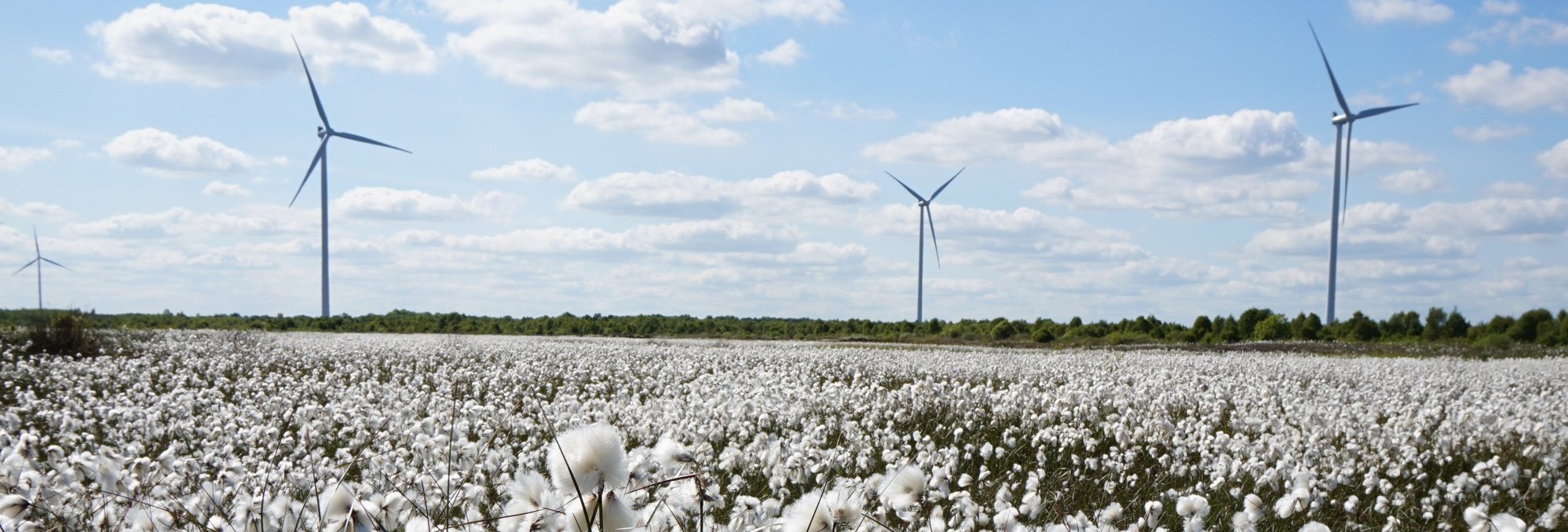 The Project | Derryadd Wind Farm